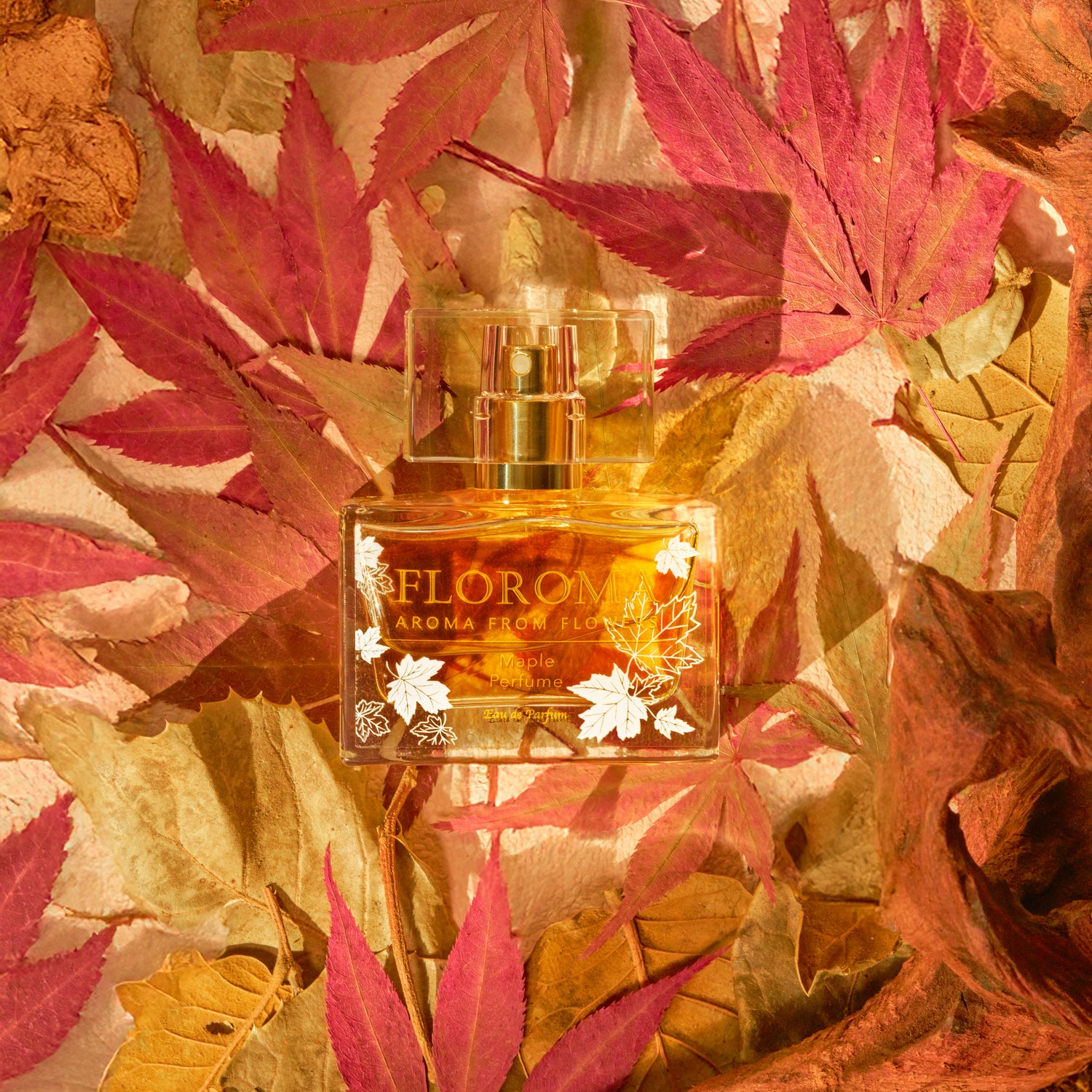 楓香水 Maple Perfume | Floroma 花之滴